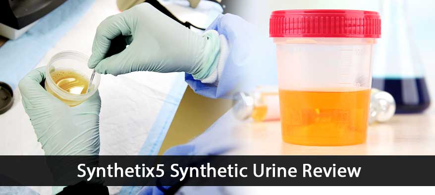 4 Best Synthetic Urine Kits Without Biocide (2025 Update)