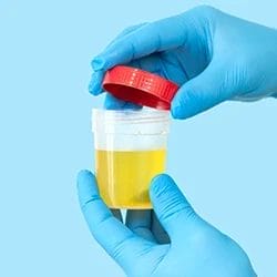 Quick Fix vs UPass (5 Significant Feature Comparisons)